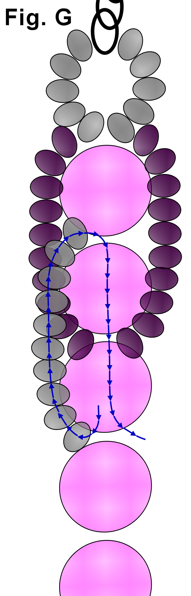 Woven Braid Beaded Bracelet » Handcrafted With Grace