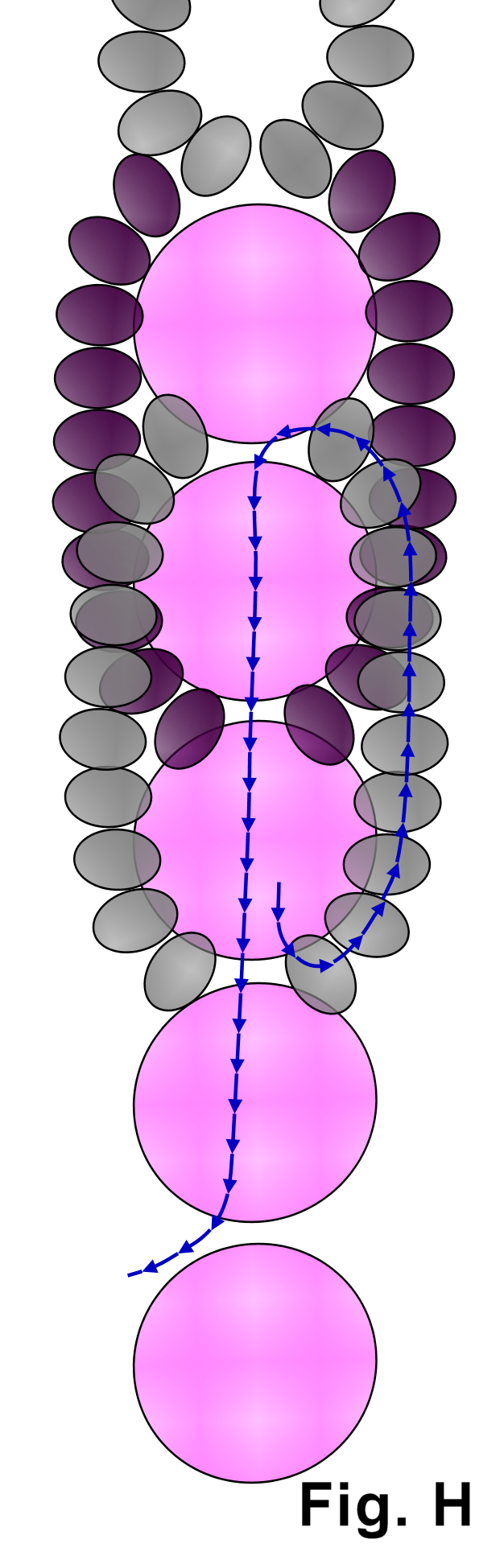 Woven Braid Beaded Bracelet » Handcrafted With Grace